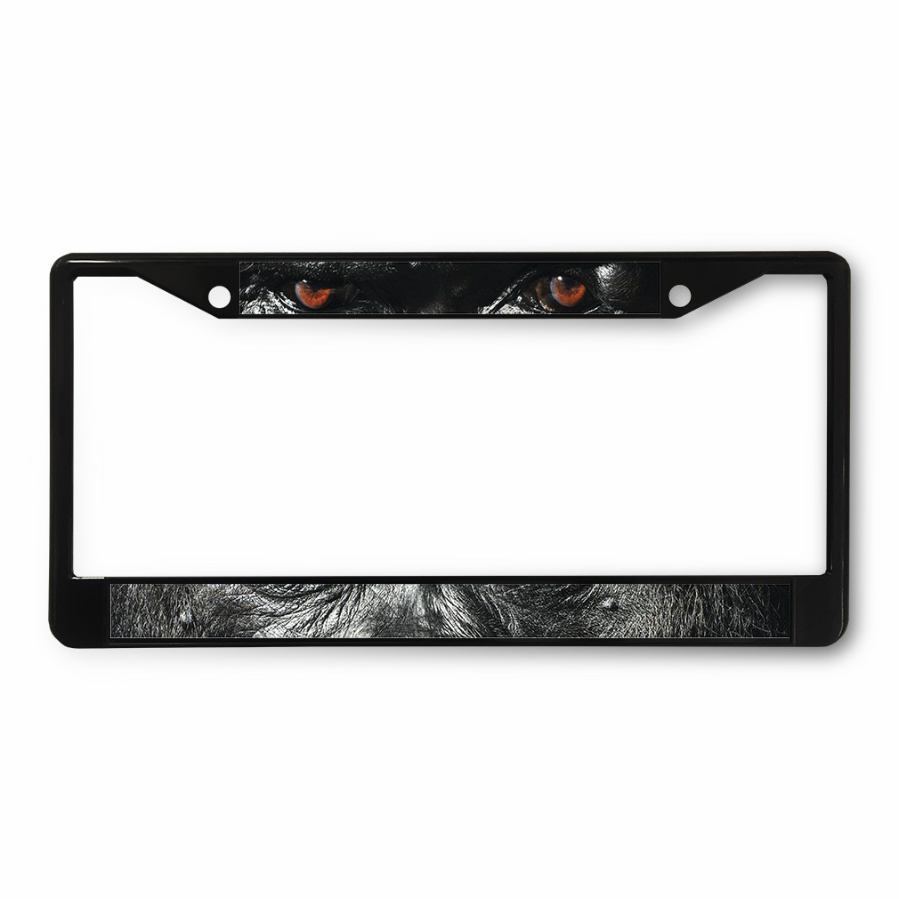 Metal License Plate Frame Vinyl Insert Gorilla's Eyes Animals Wild ...