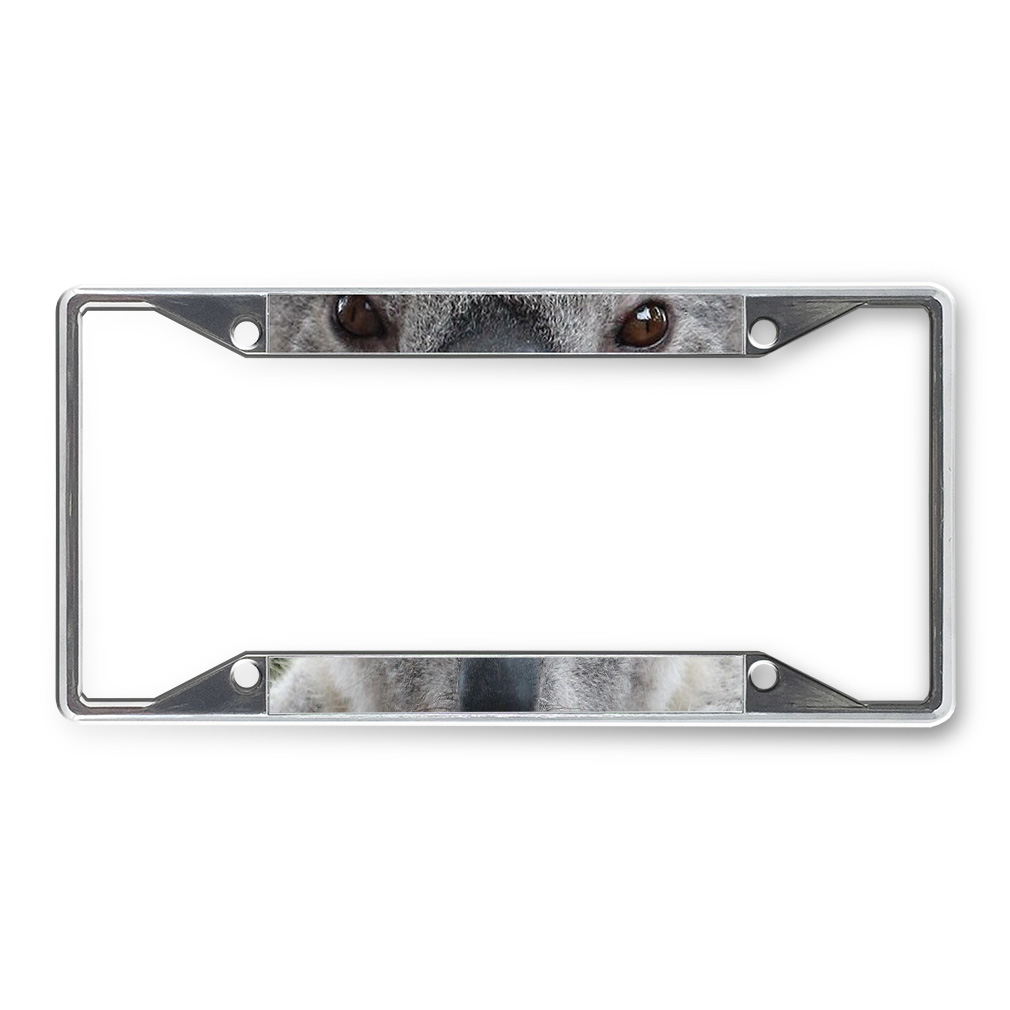 Metal License Plate Frame Vinyl Insert Koala's Eyes Animals Wild Koalas ...